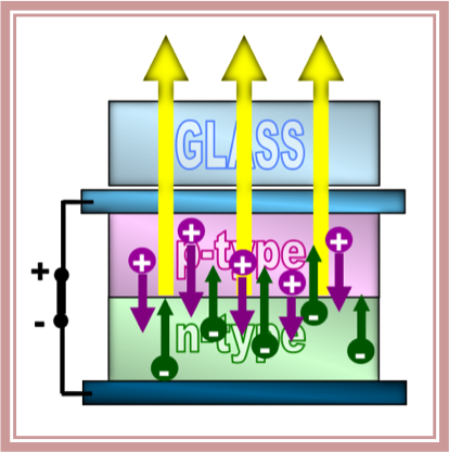 Homepage of Julia E Medvedeva