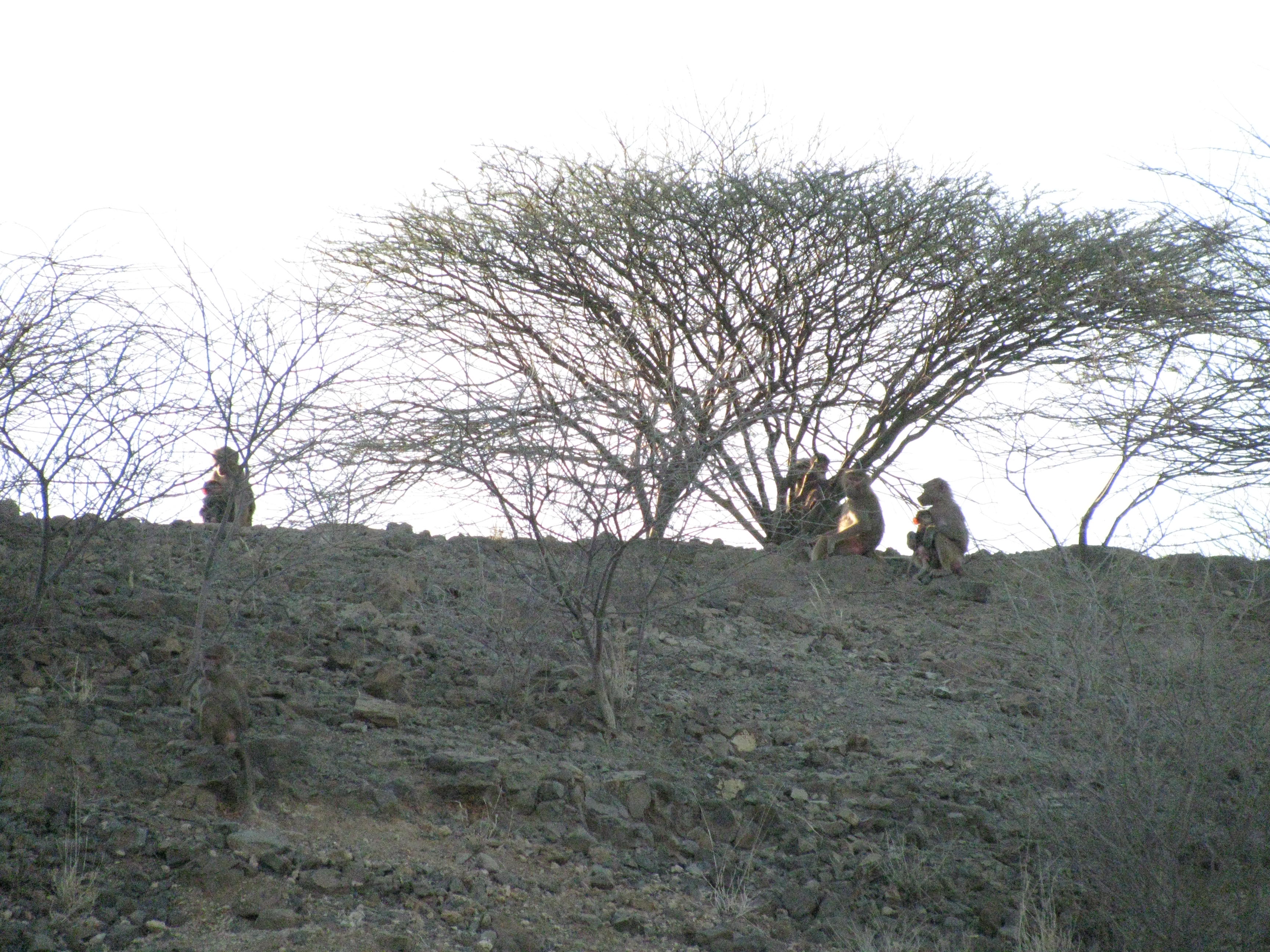 Click on a picture to see it enlarged