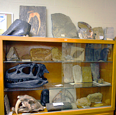 Sedimentology-Paleontology-Petroleum Exploration Facilities