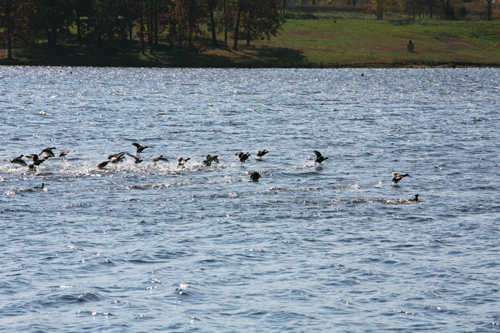 Little Praire Lake (5 miles from MST)
