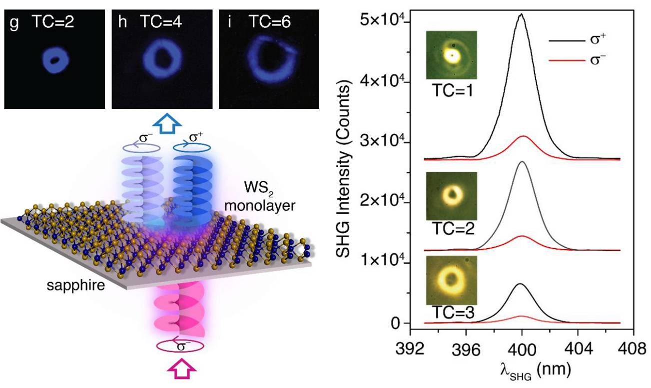 Xiaodong Yang Group - Nanoscale Optics Laboratory