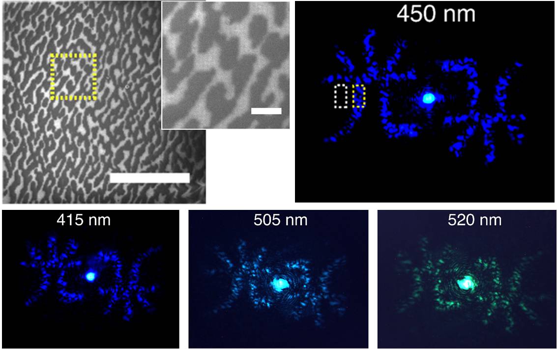 Xiaodong Yang Group - Nanoscale Optics Laboratory