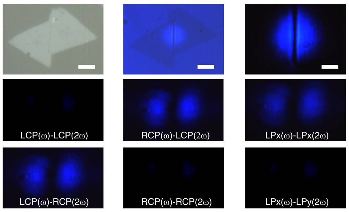 Xiaodong Yang Group - Nanoscale Optics Laboratory